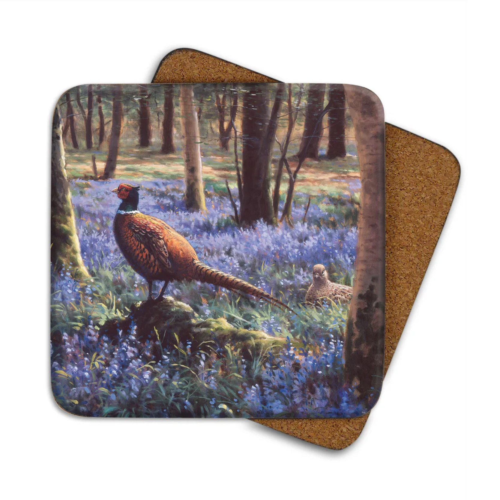 Julian Friers Pheasant in Bluebells Coaster - Island Blue Gallery