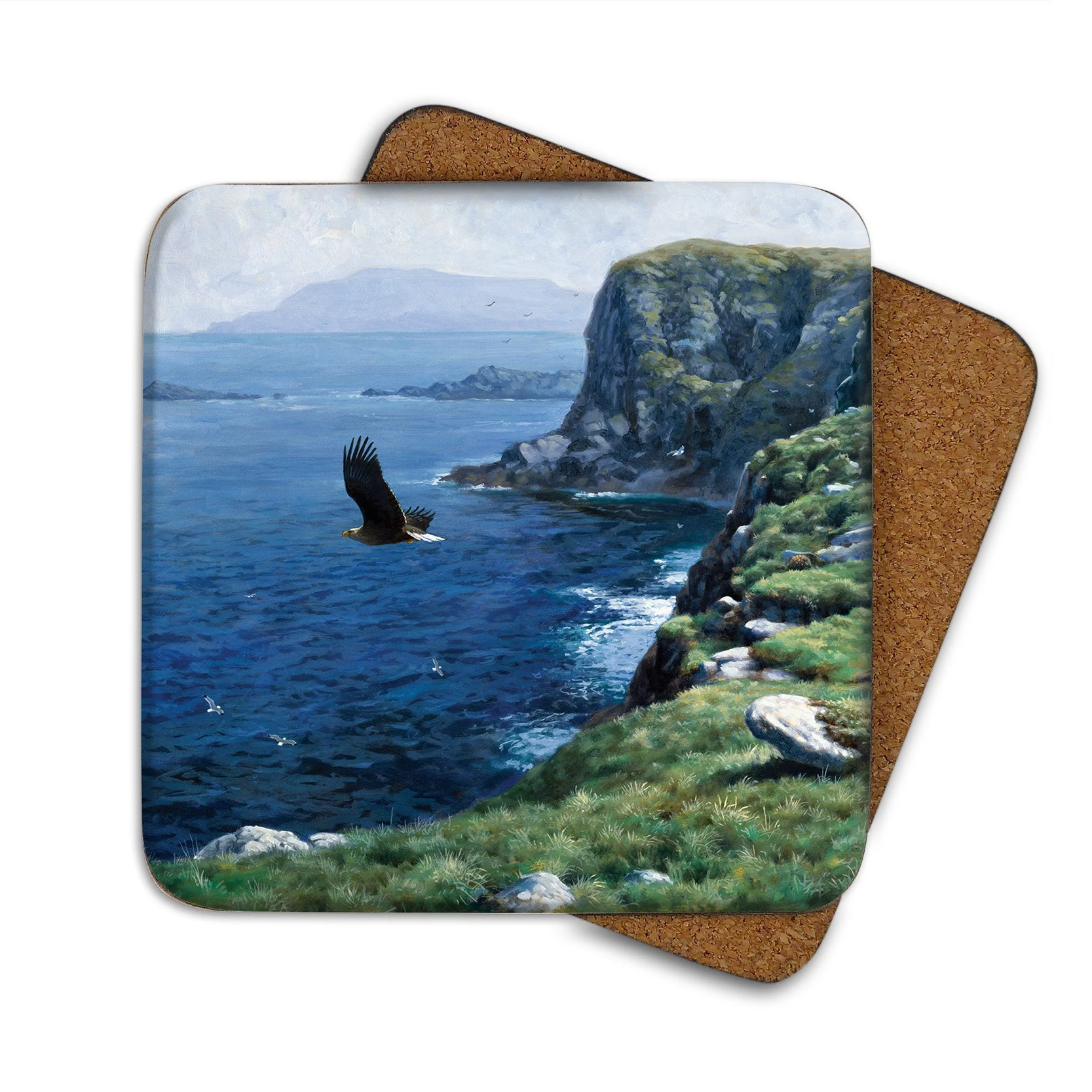 Julian Friers White-tailed Eagle Coaster - Island Blue Gallery